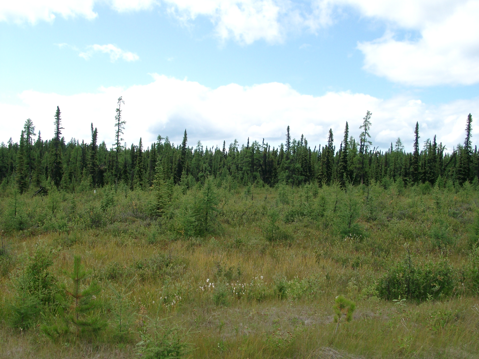 Soil Orders: Luvisol | Soil Monoliths
